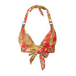 Banana Moon Bikinitop Damen Gr&ouml;&szlig;e 80 schilf / jade / orangerot