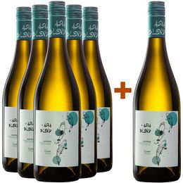 Weinwurm 2022 5+1 Paket Asia Blend Cuvée weiß trocken