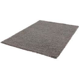 Hochflor-Teppich LOCA, Sanat, rechteckig, Höhe: 30 mm, Wohnzimmer, Langflor, Shaggy, Schlafzimmer, grau