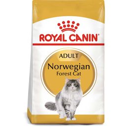 Royal Canin Norwegian Forest Cat Adult Trockenfutter für Norwegische Waldkatzen 10kg