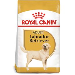 Royal Canin Labrador Retriever Adult Hundefutter trocken 12kg