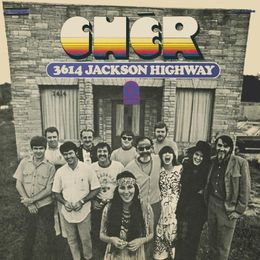Rhino 3614 Jackson Highway (Expanded Edition) (Vinyl) - Cher. (LP)