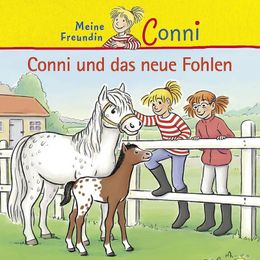 KARUSSELL 40:Conni Und Das Neue Fohlen - Conni (Hörbuch)