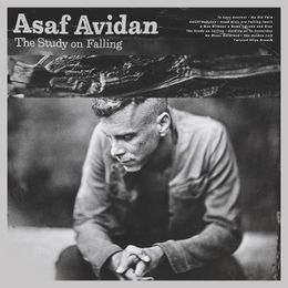 Polydor The Study On Falling - Asaf Avidan. (CD)