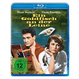 Universal Ein Goldfisch an der Leine (Blu-ray)