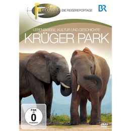 ZYX Music Krüger Park - Spielende Löwen, die Rettung eines Nashornbabies und Tanzen als Protestaktion (DVD)