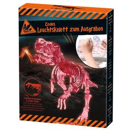 moses. Ausgrabungs-Set COOLES LEUCHTSKELETT T-REX