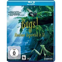 Bugs! Abenteuer Regenwald (Blu-ray)