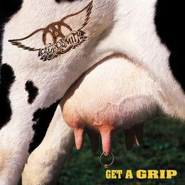 Geffen Get A Grip - Aerosmith. (LP)