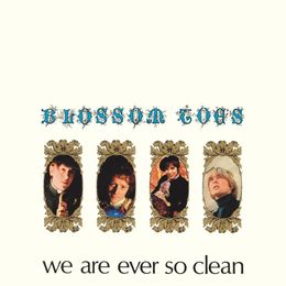 We Are Ever So Clean - Blossom Toes. (CD)