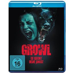 Alive Growl - Er riecht deine Angst (Blu-ray)