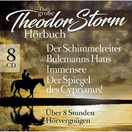 ZYX Music Das Große Theodor Storm Hörbuch - Schimmelreiter-Immensee-Uvm.. (CD)