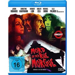 Alive Mord in der Rue Morgue (Blu-ray) (Blu-ray)
