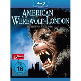 Universal American Werewolf (Blu-ray)