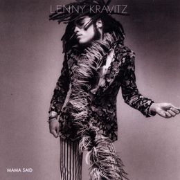 Virgin Mama Said - Lenny Kravitz. (CD)