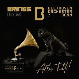 Alles Tutti! - Brings & Beethoven Orchester Bonn. (CD)