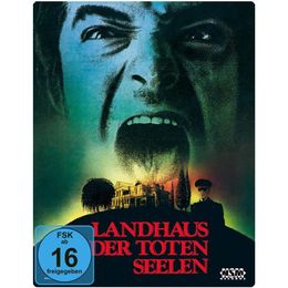 Landhaus der toten Seelen - Burnt Offerings (Blu-ray)
