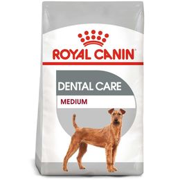 Royal Canin DENTAL CARE MEDIUM Trockenfutter für mittelgroße Hunde mit empfindlichen Zähnen 10kg