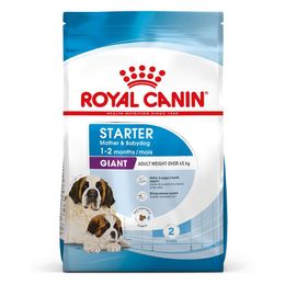 Royal Canin GIANT Starter für tragende Hündin und Welpen sehr großer Rassen 15kg