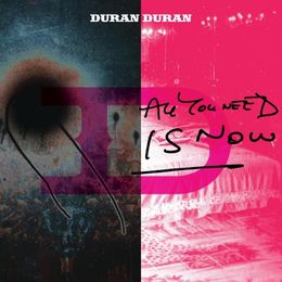 All You Need Is Now (Vinyl) - Duran Duran. (LP)