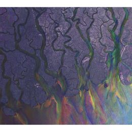 An Awesome Wave - alt-J. (CD)