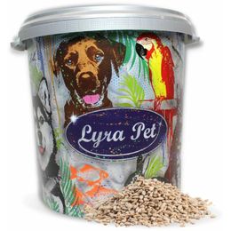 LYRA PET - 10 kg ® Sonnenblumenkerne geschält 30 l Tonne
