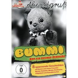 Telamo Unser Sandmännchen - Abendgruß: Bummi - Kam ein kleiner Teddybär (DVD)