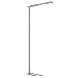 Maul Mauljet Freistehend Stehlampe LED (dimmbar) Silber 225 x 950 x 1.950 mm