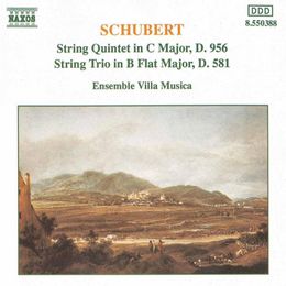 Naxos Streichquintett/Streichtrio - Ensemble Villa Musica. (CD)