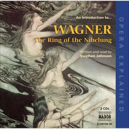 Naxos An Introduction To Wagner'S Ring - Stephen Johnson (Hörbuch)