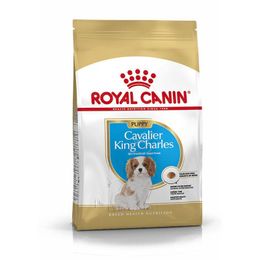 Royal Canin Cavalier King Charles Puppy Welpenfutter trocken, 500g