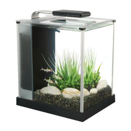 Fluval SPEC Süßwasser Aquarium Set, SPEC 3 - 10,7 l schwarz (22,3 x 30,5 x 27,5 cm)