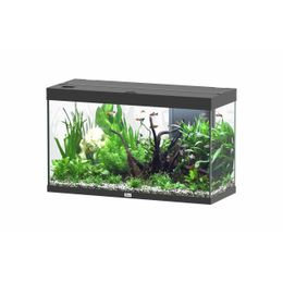 Aquatlantis Splendid Aquarium, Fassungsvermögen: 200 Liter
