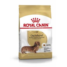 Royal Canin Dachshund Adult Hundefutter trocken für Dackel, 500g