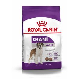 Royal Canin Giant Adult Trockenfutter für sehr große Hunde, 4 kg