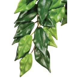 EXO TERRA - hängende Pflanzen, Fikus klein - 15,0 x 31,0 x 4,0 cm