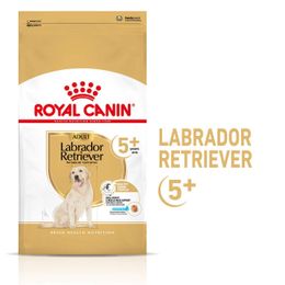 Royal Canin Labrador Retriver Trockenfutter 5+, 12 kg