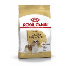 Royal Canin Cavalier King Charles Adult Hundefutter trocken, 1,5 kg