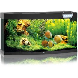 JUWEL JUWEL Vision 260 LED Aquarium, 260 Liter, schwarz