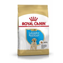 Royal Canin Labrador Retriever Puppy Welpenfutter trocken, 3 kg