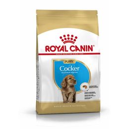 Royal Canin Cocker Puppy Welpenfutter trocken, 3 kg