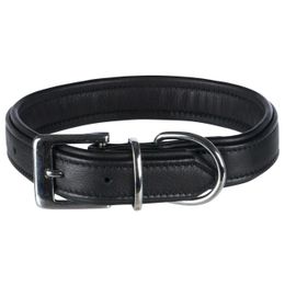 Trixie Trixie Active Comfort Hunde Halsband Leder, S: 31–37 cm/25 mm, schwarz