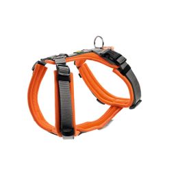 Hunter Hundegeschirr Maldon gepolstert, Gr. XS: Hals 31 - 49 cm | Bauch 34 - 49 cm | Breite 1,5 cm, orange/grau