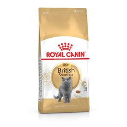 Royal Canin British Shorthair Katzenfutter trocken für Britisch Kurzhaar, 4 kg
