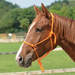 Busse Knotenhalfter Smooth II, Pony, orange