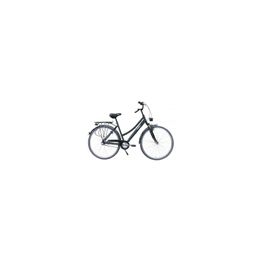 Hawk Citytrek Premium Black - Damen & Herre 28 Zoll - Leichtes Fahrrad mit 3-Gang Shimano Nabenschaltung, Felgenbremse I Allrounder