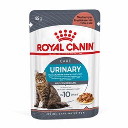 Royal Canin URINARY CARE Gravy Katzennahrung Feucht zur Unterstützung der Harnwegsgesundheit 48x85g