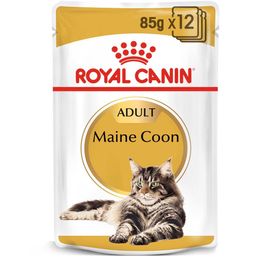 Royal Canin Maine Coon Adult Katzenfutter nass 12x85g