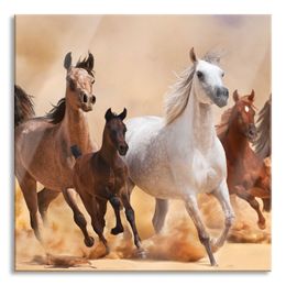 Pixxprint Glasbild Western Pferde mit Fohlen, Western Pferde mit Fohlen (1 St), Glasbild aus Echtglas, inkl. Aufhängungen und Abstandshalter