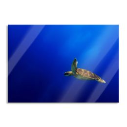 Pixxprint Glasbild Alte Schildkröte im Meer, Alte Schildkröte im Meer (1 St), Glasbild aus Echtglas, inkl. Aufhängungen und Abstandshalter, blau|bunt